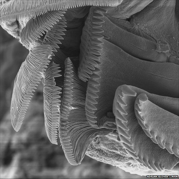 A night at the museum - BBC News