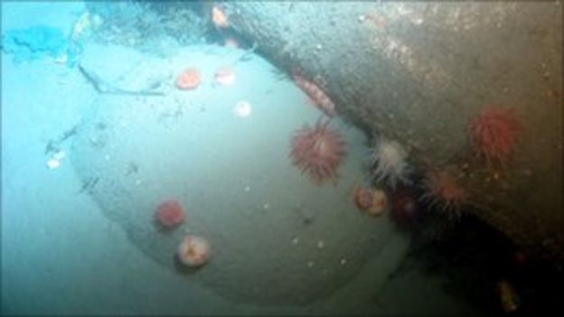 Guard ship at unexploded WWII mine in North Sea - BBC News