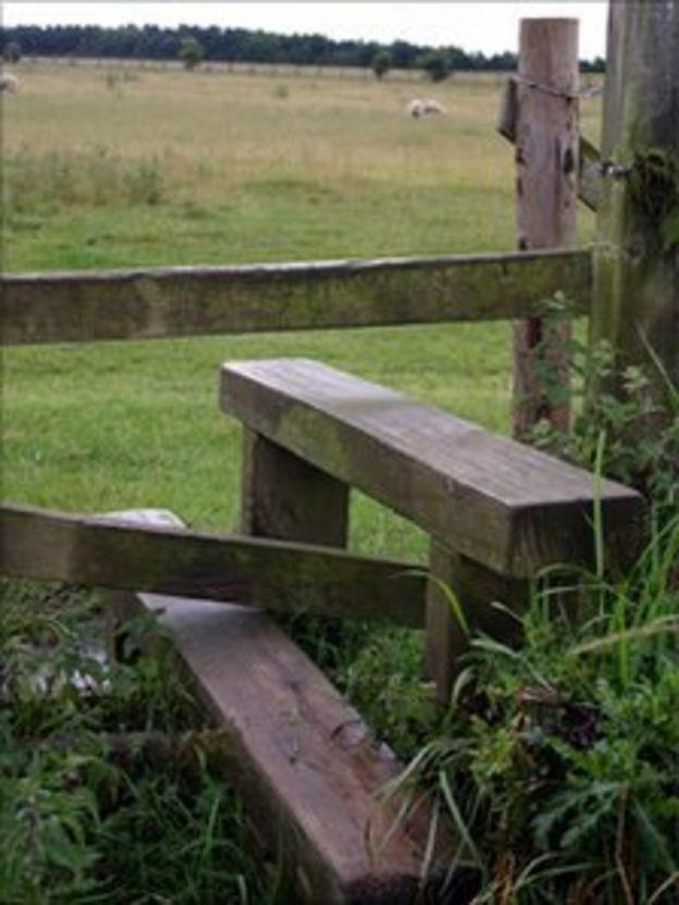 Big Walkabout day of Nottinghamshire guided walks announced - BBC News