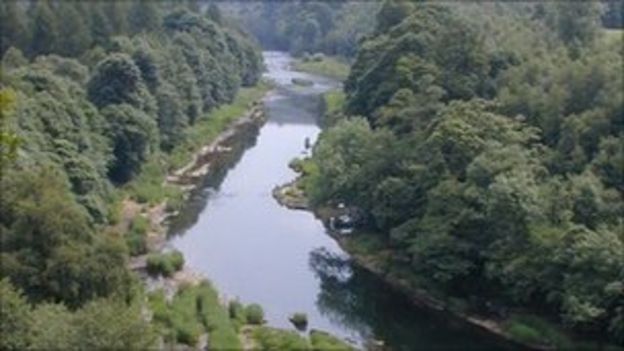 River Eden study aims to reduce farm pollution - BBC News