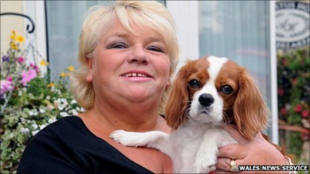 Stolen Tenby dog Molly found in Doncaster 16 months on - BBC News