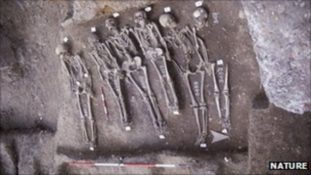 Black Death genetic code 'built' - BBC News