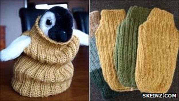 How to clean an oil-slicked penguin - BBC News