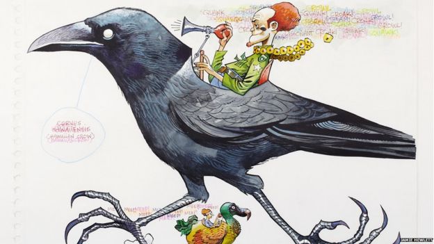 Pictures: New exhibition of extinct birds from the past - BBC Newsround