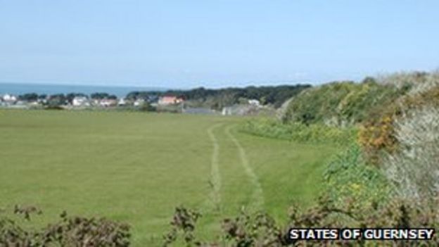 Hundreds of trees to be planted in Guernsey - BBC News