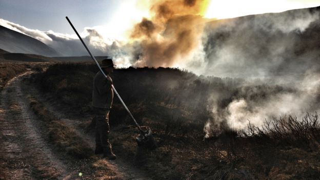 Your pictures of Scotland: 11 - 18 November - BBC News