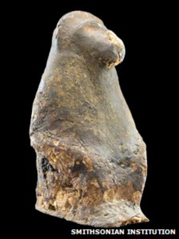 Unwrapping the ancient Egyptian animal mummy industry - BBC News