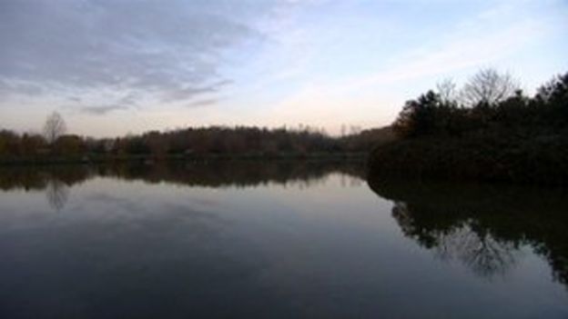 Hull's first nature reserve Noddle Hill opens - BBC News