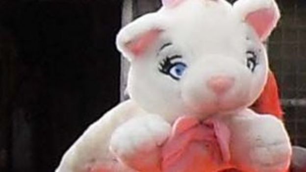 Charity Tyddyn Mon s Bill Over Squeaky Toy In Moelfre BBC News charity-tyddyn-mon-s-bill-over-squeaky-toy-in-moelfre-bbc-news