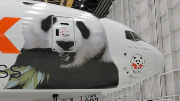 Giant pandas arrive in Edinburgh from China - BBC News