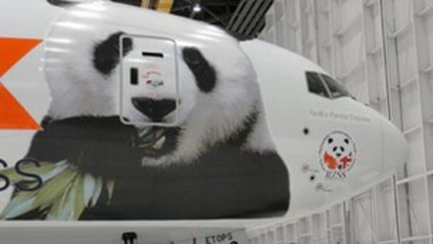 Edinburgh Zoo prepares for arrival of pandas from China - BBC News