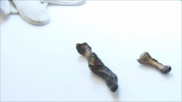 'Yeti footprints': Indian army mocked over claim - BBC News