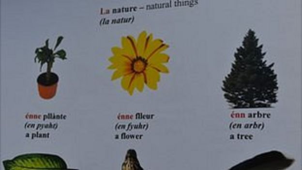 Guernsey French beginners guide launched - BBC News