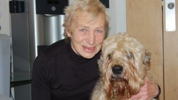 'Annie' dog retires from musical after 10 years - BBC News