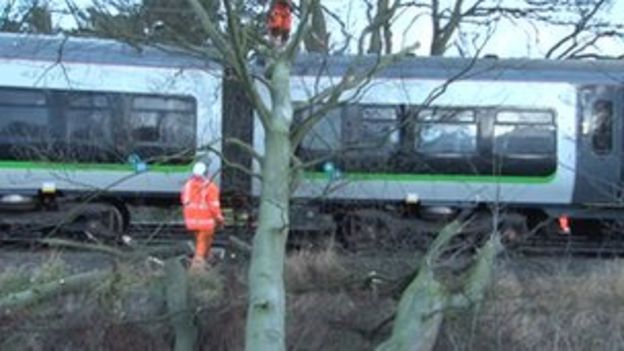 Winds cause rail problems as trees come down on lines - BBC News