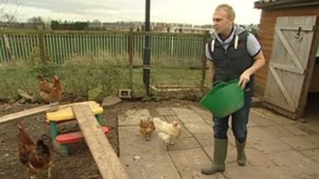 Derbyshire farm's tortured chickens 'kicked like footballs' - BBC News