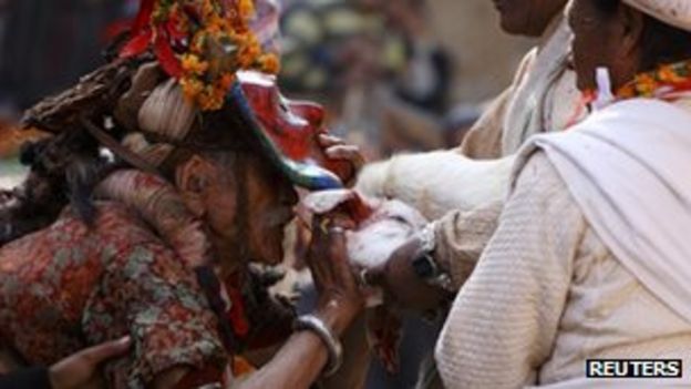 Probe into Nepal police station 'goat slaughterhouse' - BBC News