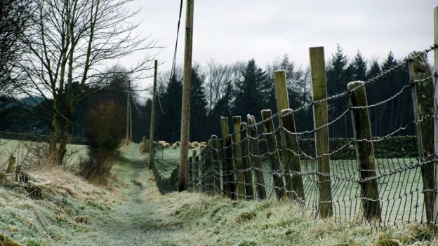 Your pictures of Scotland: 13 - 20 January - BBC News