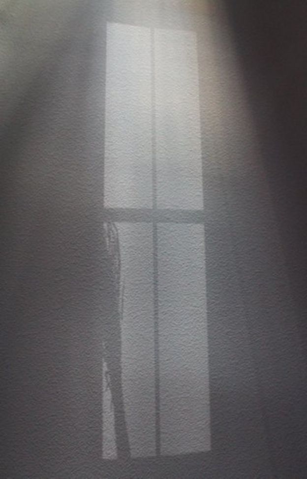 Your pictures: Morning light - BBC News