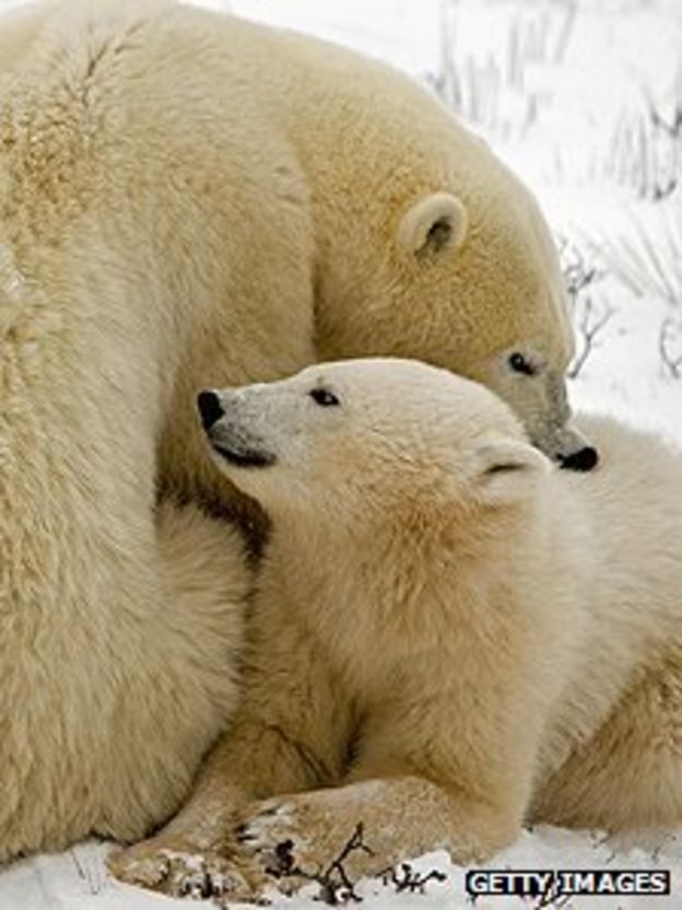 Canada profile - Facts - BBC News