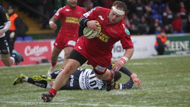 LV= Cup: Sale Sharks 19-14 Scarlets - BBC Sport