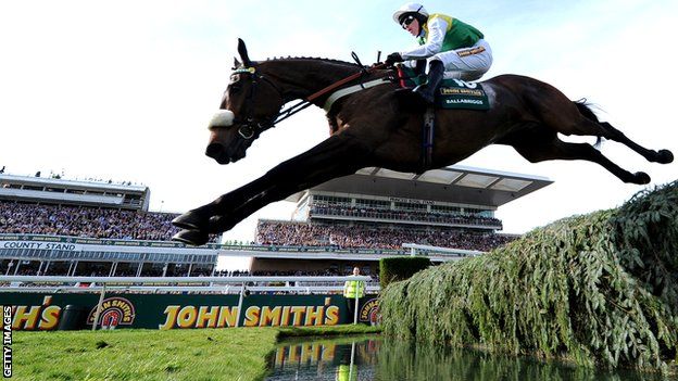 Grand National: Synchronised handed top weight - BBC Sport