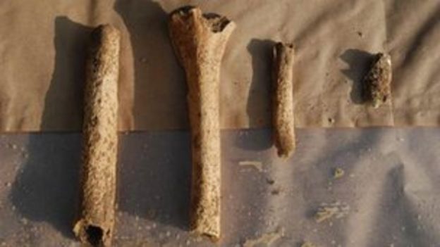 'Roman' human remains found in Dorset back garden - BBC News