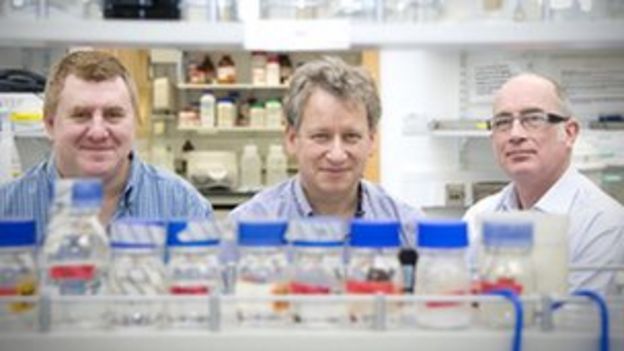 University of Aberdeen research into fatal fungal infections awarded £5 ...