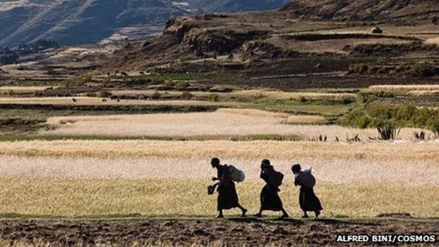 Analysis: Land grab or development opportunity? - BBC News