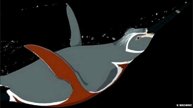 Ancient giant penguin fossil found in Peru - BBC Newsround