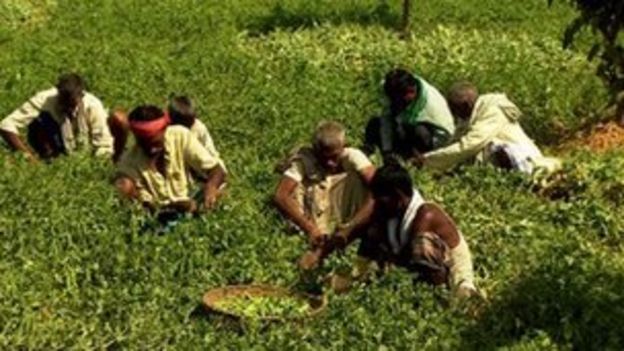 New focus for British aid to India - BBC News