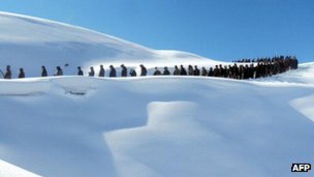 Rescuers dig for survivors in Afghan avalanche village - BBC News