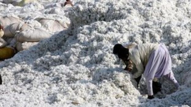 India lifts ban on cotton exports - BBC News
