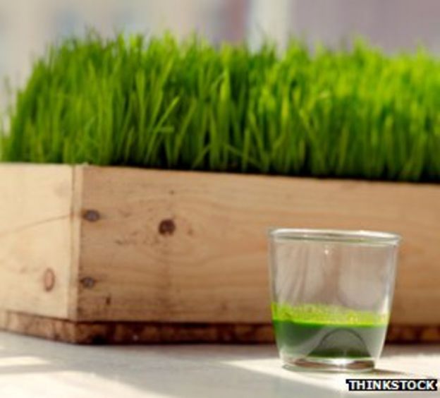 The chia craze - BBC News