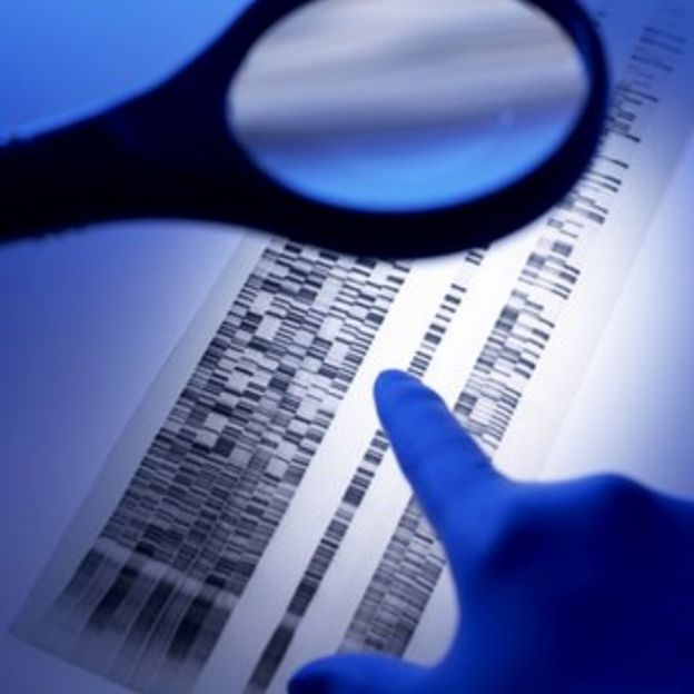 Early days in a DIY biological revolution - BBC News