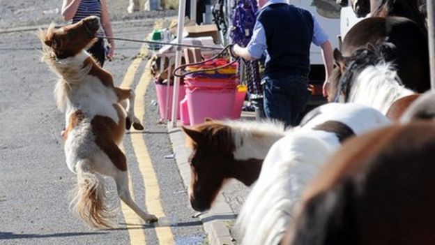 In pictures: Ould Lammas Fair returns to Ballycastle - BBC News
