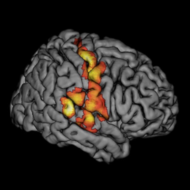 Speech lab: Unlocking the secrets of the human voice - BBC News