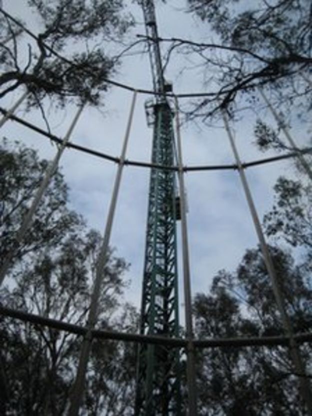 Australia experts look to climate 'time machine' - BBC News