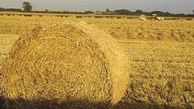 Sleaford straw power plant will benefit Lincolnshire farmers - BBC News