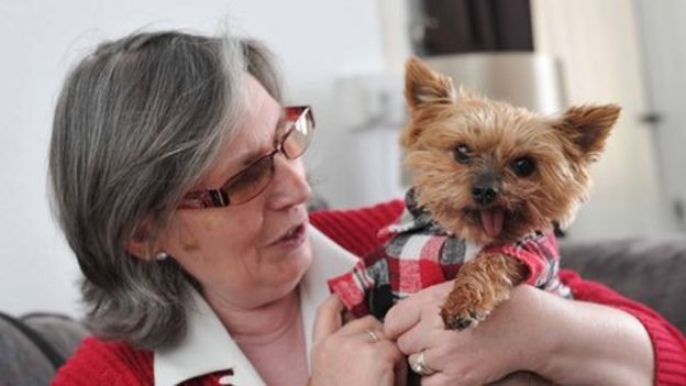 Louis the dog sounds panic alarm for disabled Wrexham owner after ...