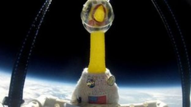 Nasa to launch rubber chicken in Rugby woman's knitted suit - BBC News