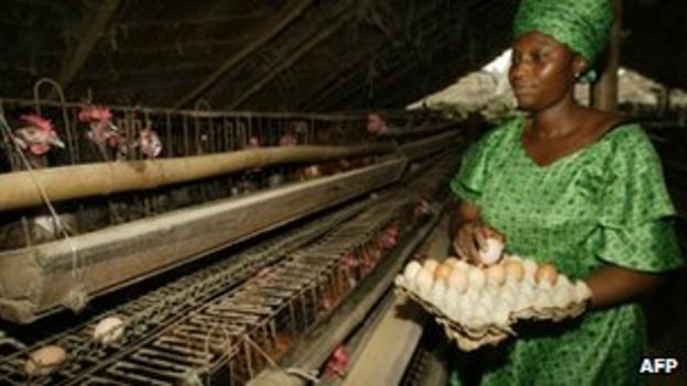Championing Africa's food revolution - BBC News