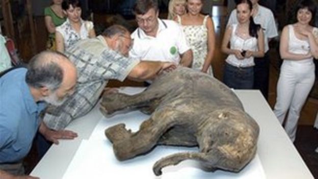 Joseph Stalin's deadly railway to nowhere - BBC News