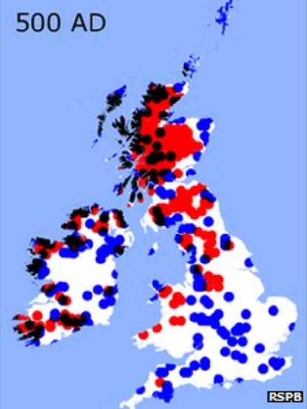 Golden and sea eagle decline since Dark Ages mapped - BBC News