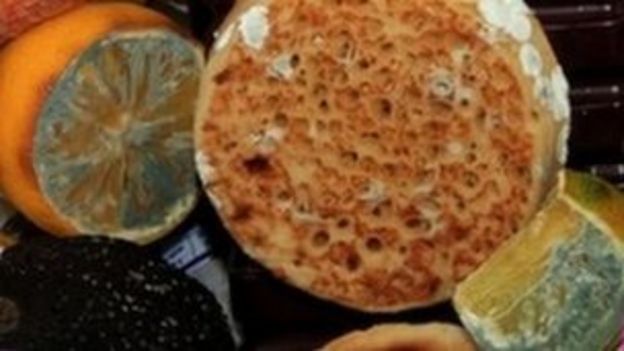 Gwynedd: Llwyn Isaf GwyriAD anaerobic digester work starts - BBC News