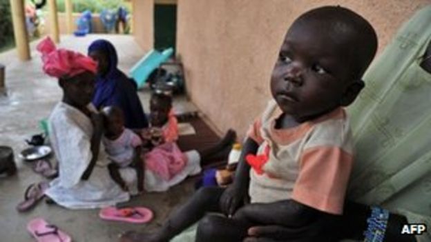 Sahel region of West Africa 'in permanent food crisis' - BBC News