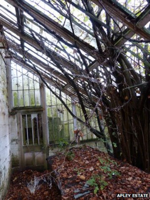 Apley Estate walled garden to be restored after 50 years - BBC News