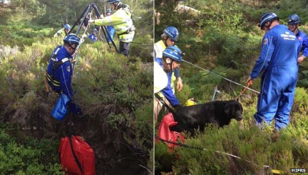 Wester Ross rescuers free Newfoundland dog stuck in hole - BBC News