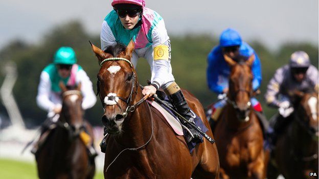 Frankel, the 'Usain Bolt' of horse racing wins again - BBC Newsround