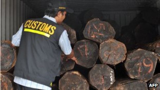 Interpol clamps down on illegal logging - BBC News